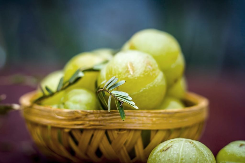 Vedic formulation study: 25% of an Ayurvedic practitioner’s skill set ...