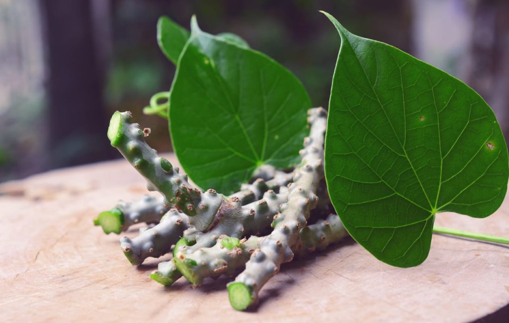 Amrutharishtam: Ayurveda’s herbal formulation from heaven - Kerala ...