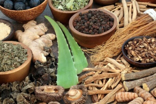 Ayurvedic Training - Kerala Ayurveda Academy