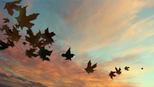 Unleash your digestive fire for gut health