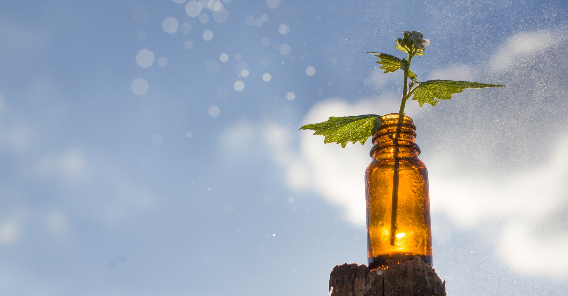 Ayurvedic Home Remedies - Ayurvedic Healing Course