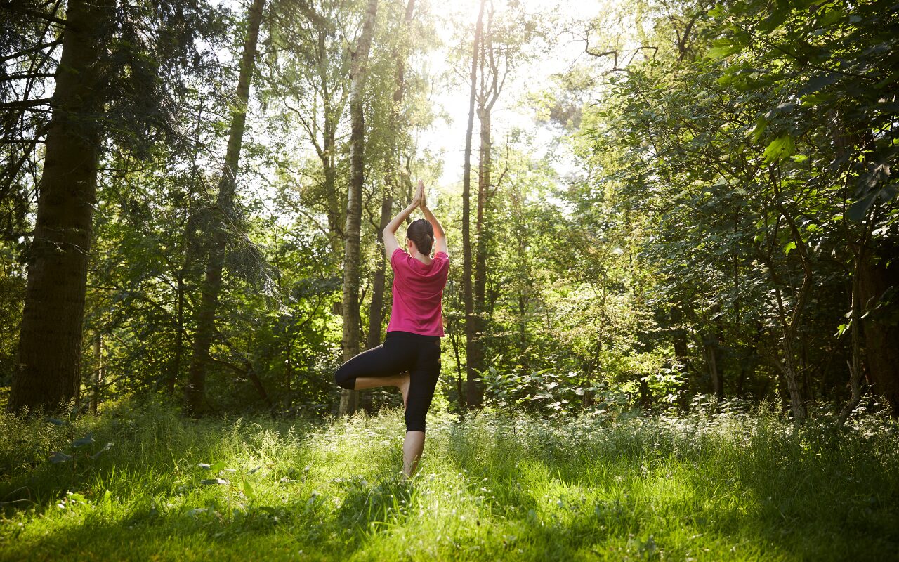 Integrating Ayurveda and Yoga for the Ultimate Wellness Practice ...